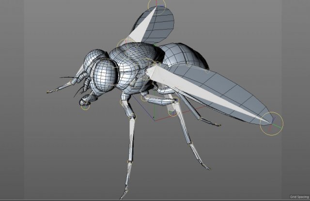 housefly rigged hairs insect pbr low poly 3D Model in Insects 3DExport