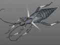 Jungle Nymph Rigged low poly pbr insect 3D Model in Insects 3DExport
