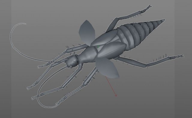 jungle nymph rigged low poly pbr insect 3D Model in Insects 3DExport