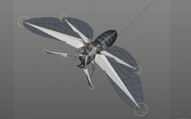 moth rigged hairs low poly insect pbr 3D Model in Insects 3DExport