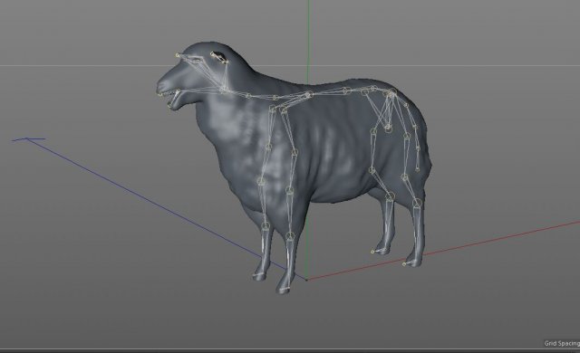 sheep rigged animal 3D Model in Sheep 3DExport
