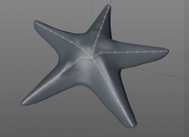 star fish v3 rigged low poly 3D Model in Fish 3DExport