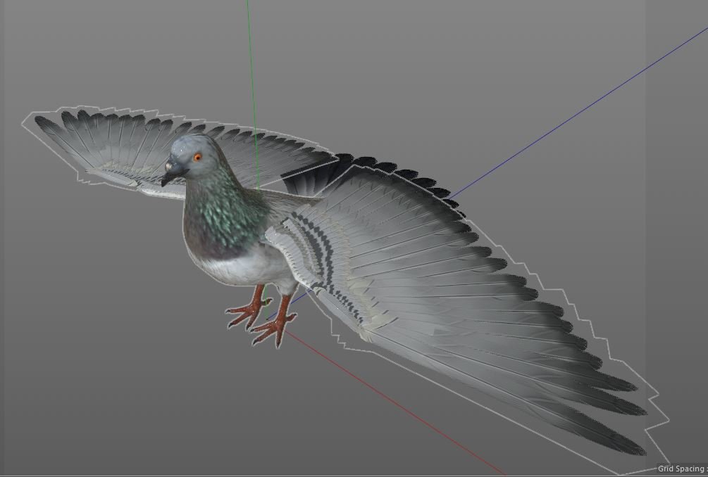 pigeon bird pbr rigged low poly 3D Models in Bird 3DExport