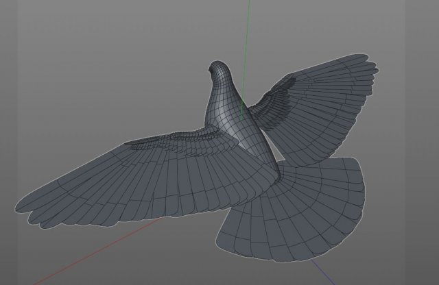pigeon bird pbr rigged low poly 3D Model in Bird 3DExport