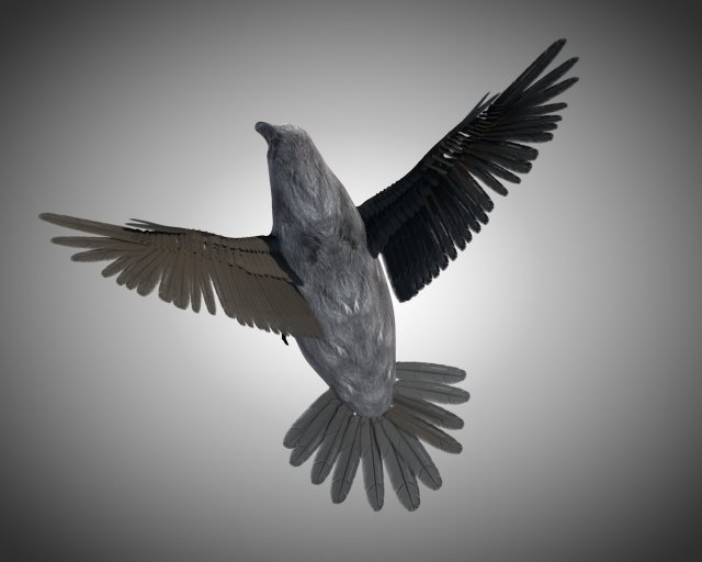 raven crow bird pbr rigged low poly 3D Model in Bird 3DExport