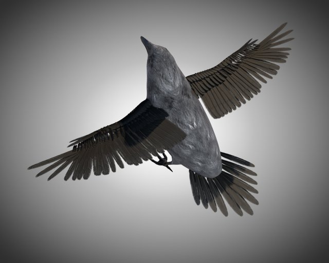 raven crow bird pbr rigged low poly 3D Model in Bird 3DExport