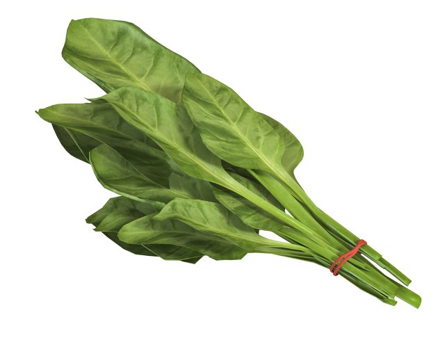 spinach 3D Model in Vegetable 3DExport