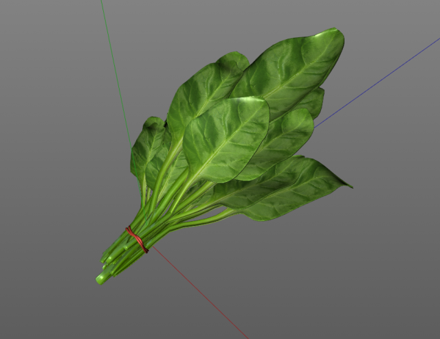 spinach 3D Model in Vegetable 3DExport