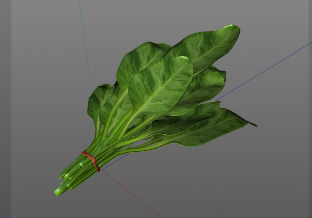 spinach 3D Model in Vegetable 3DExport