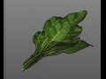 Spinach 3D Model in Vegetable 3DExport