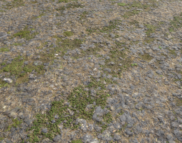 ground terrain grass pbr pack 5 CG Textures in Ground 3DExport