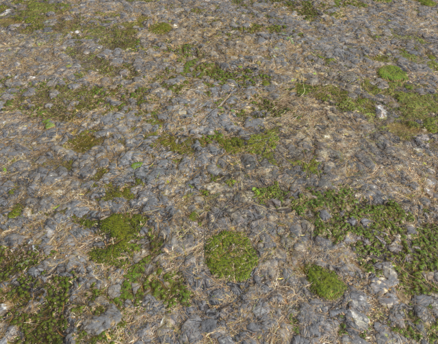 ground terrain grass pbr pack 5 CG Textures in Ground 3DExport
