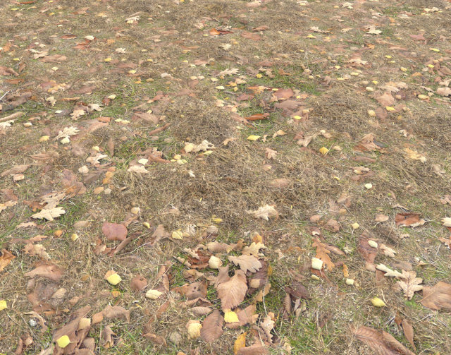 ground terrain grass pbr pack 5 CG Textures in Ground 3DExport