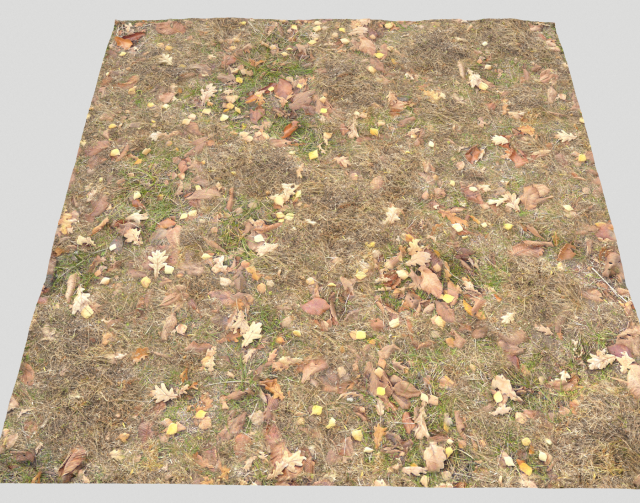 ground terrain grass pbr pack 5 CG Textures in Ground 3DExport
