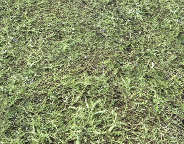 ground terrain grass pbr pack 6 CG Textures in Ground 3DExport