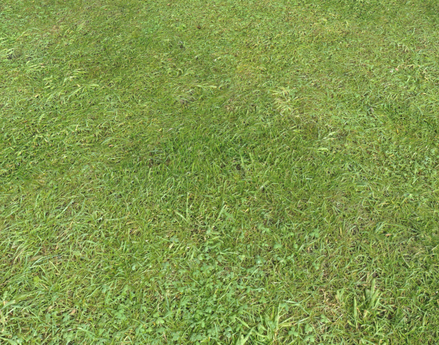 ground terrain grass pbr pack 6 CG Textures in Ground 3DExport