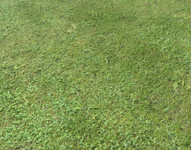 ground terrain grass pbr pack 6 CG Textures in Ground 3DExport