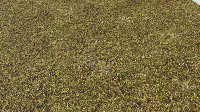 moss pack 1 CG Textures in Nature 3DExport