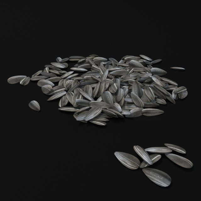 seeds 3D Model in Miscellaneous 3DExport
