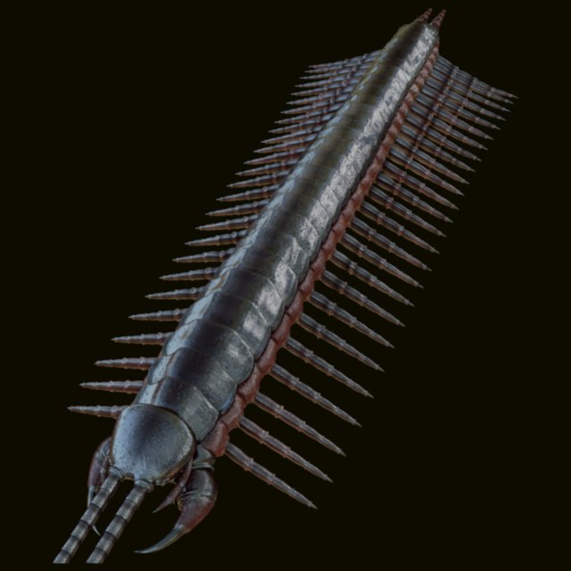 centipede 3D Model in Insects 3DExport