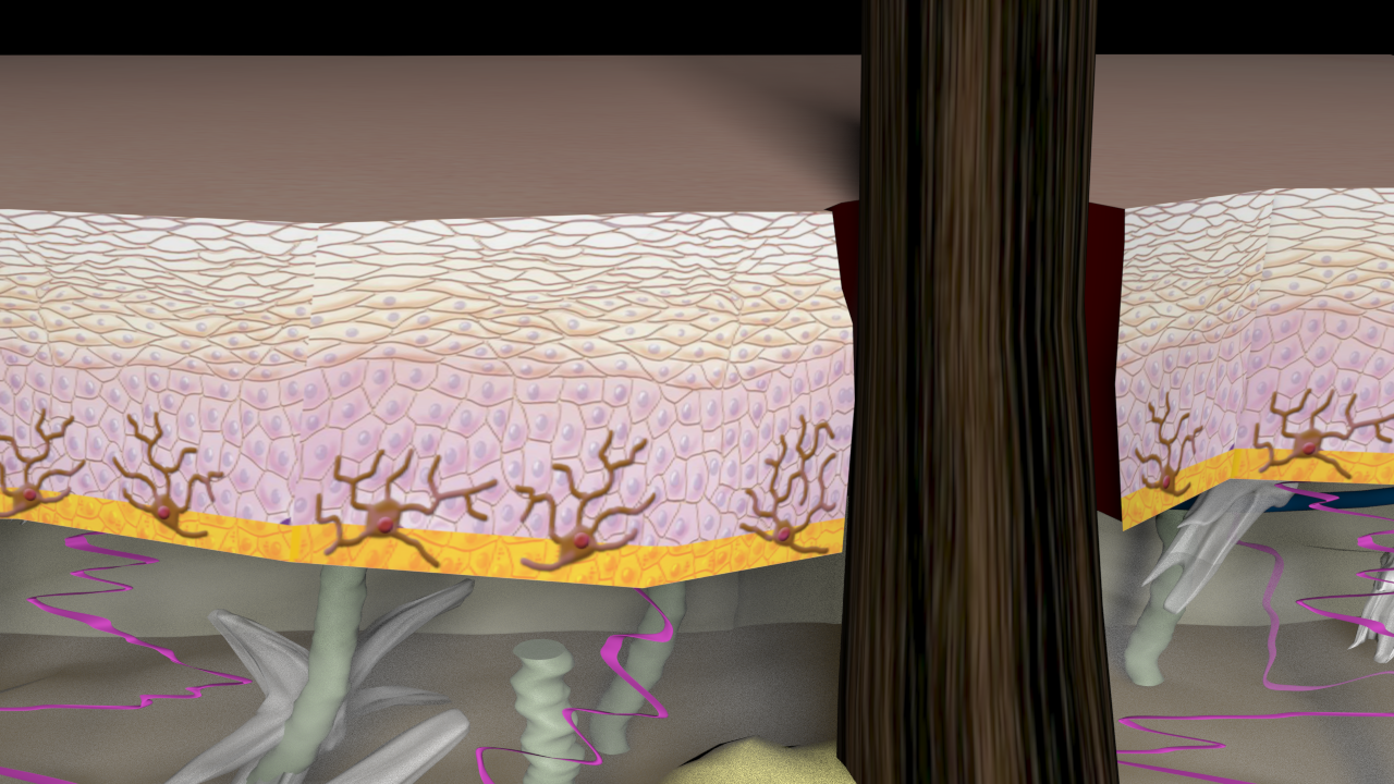 3d skin layers 1.20 1