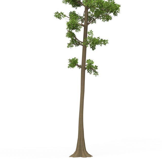 Game Ready Tree 05 3D Model in Tree 3DExport