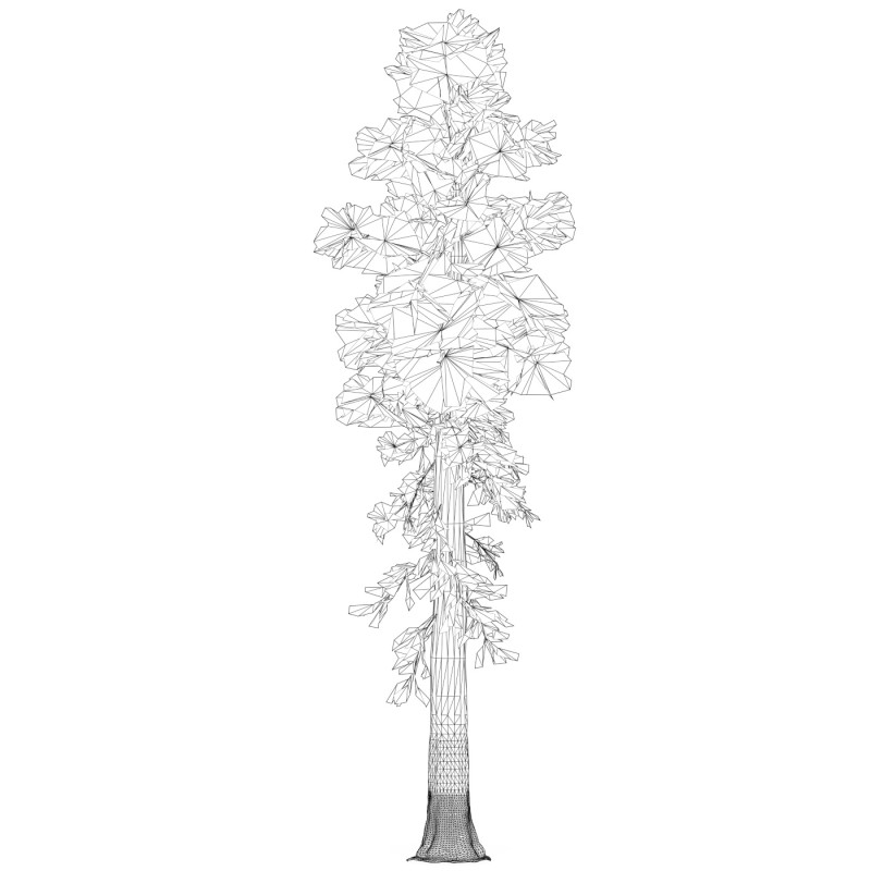 Game Ready Tree 27 3D Model in Tree 3DExport