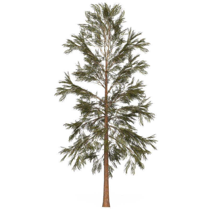 Game Ready Tree 32 3D Model in Tree 3DExport