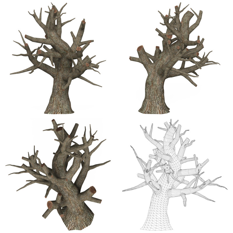 Game Ready Dead Tree Collection 3D Model in Tree 3DExport