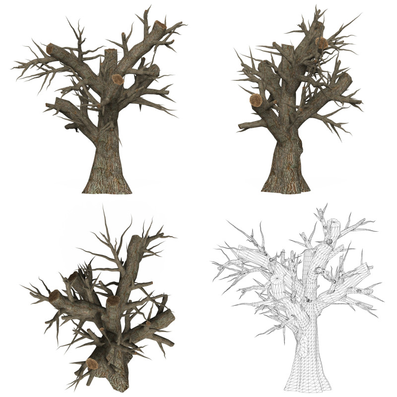 Game Ready Dead Tree Collection 3D Model in Tree 3DExport