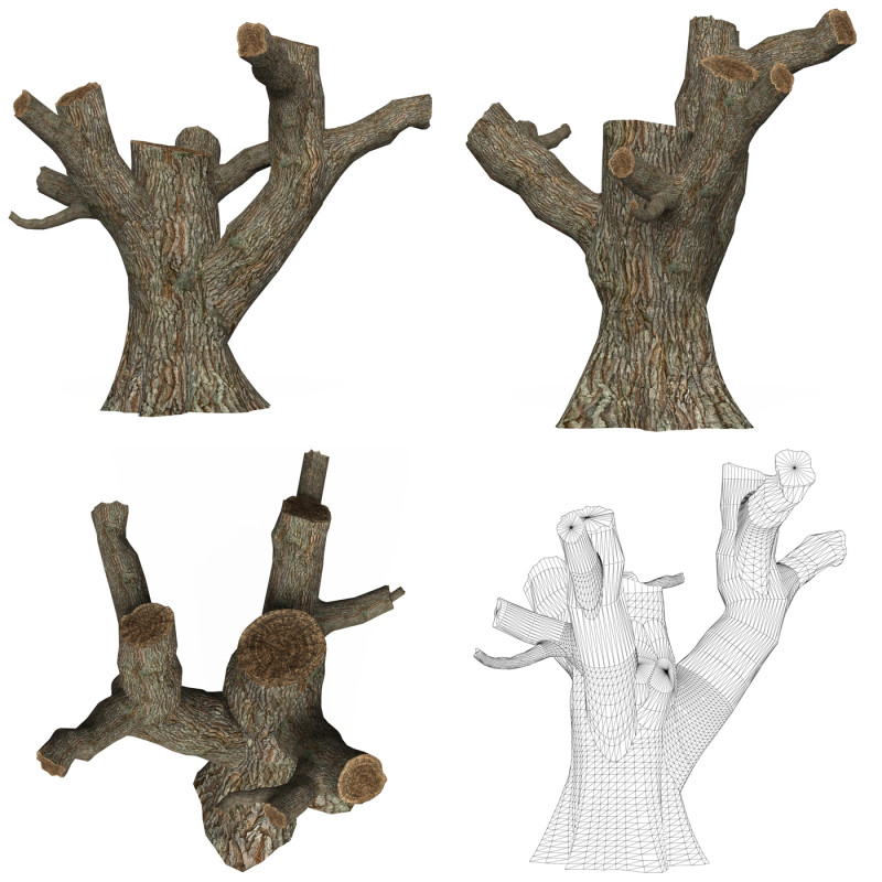 Game Ready Dead Tree Collection 3D Model in Tree 3DExport