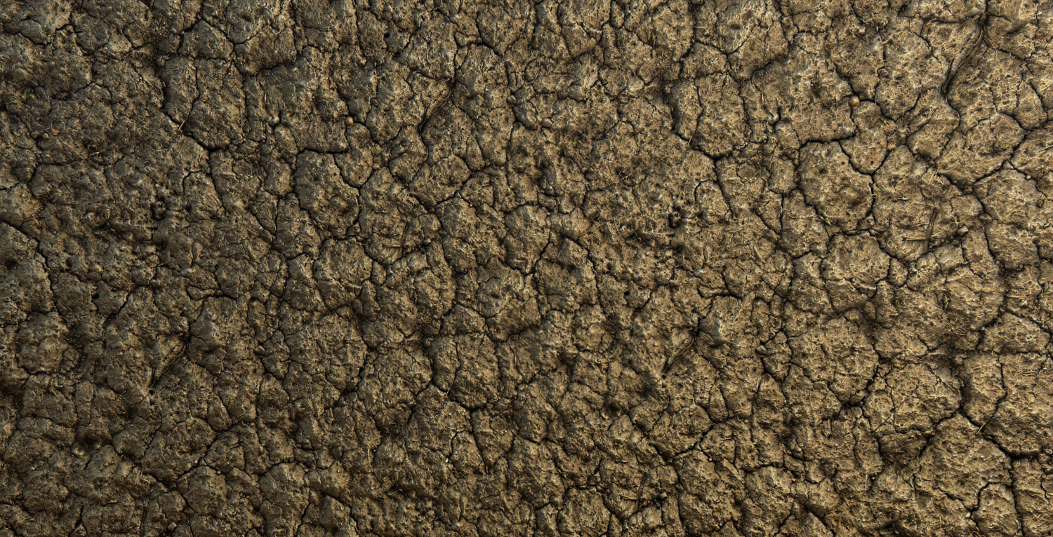 dry ground pbr texture CG Textures in 3D Textures 3DExport