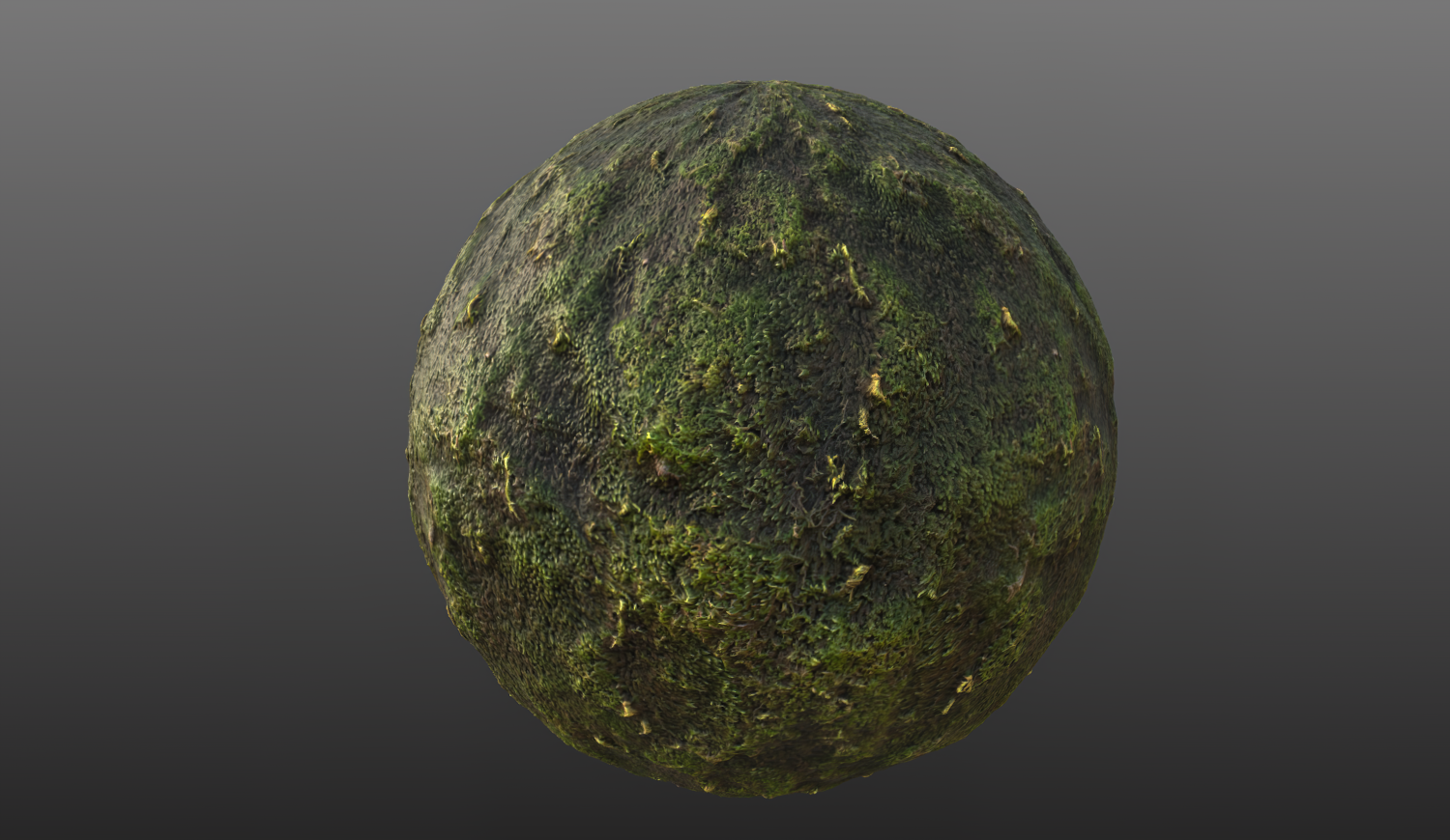 moss pbr material texture CG Textures in Nature 3DExport