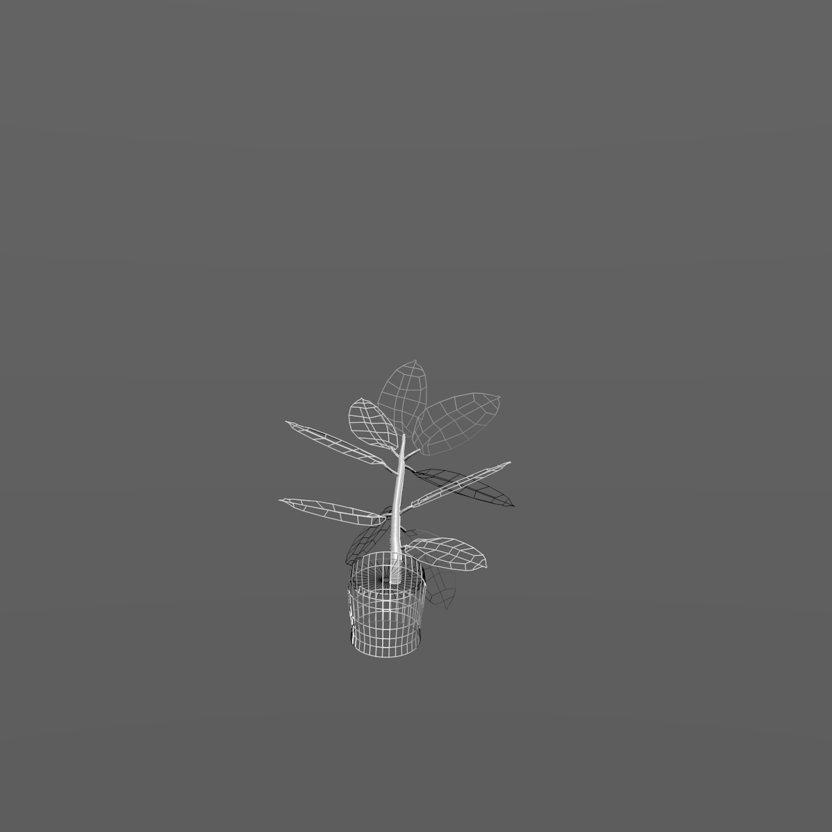 Rubber Plant Vr-Ar Game ready highly detailed 3D Model in Small Plants ...