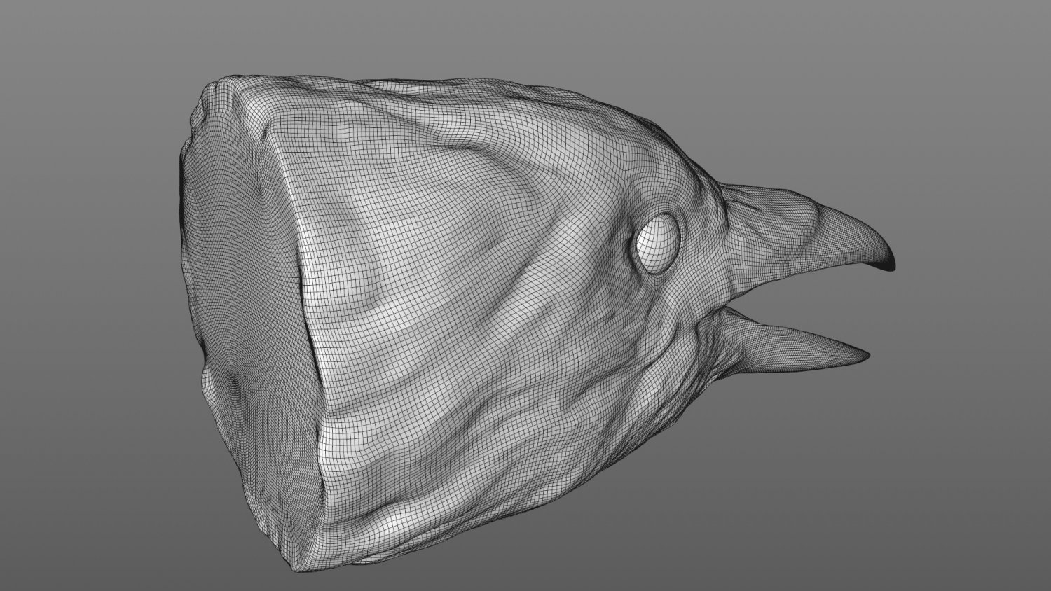 Ravens head 3D Model in Bird 3DExport
