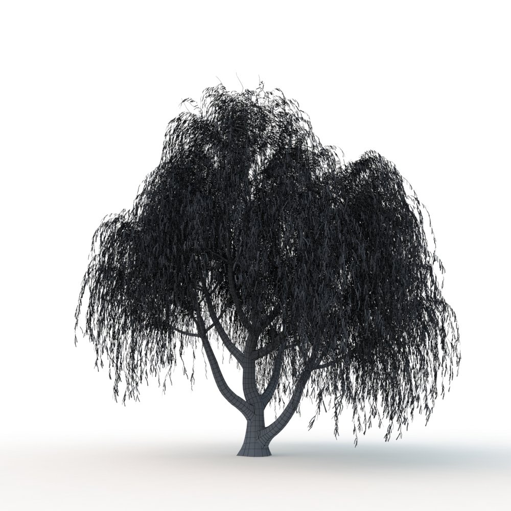 willow tree 3D Models in Tree 3DExport