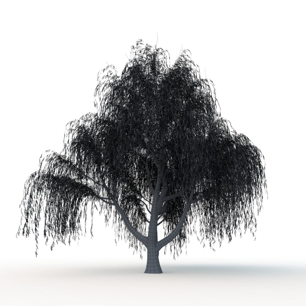 willow tree 3D Models in Tree 3DExport