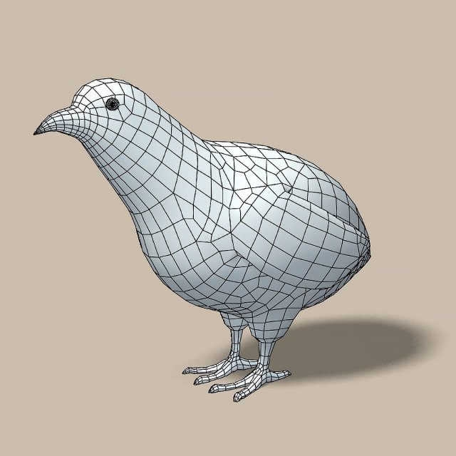 cartoon quail 3D Model in Bird 3DExport