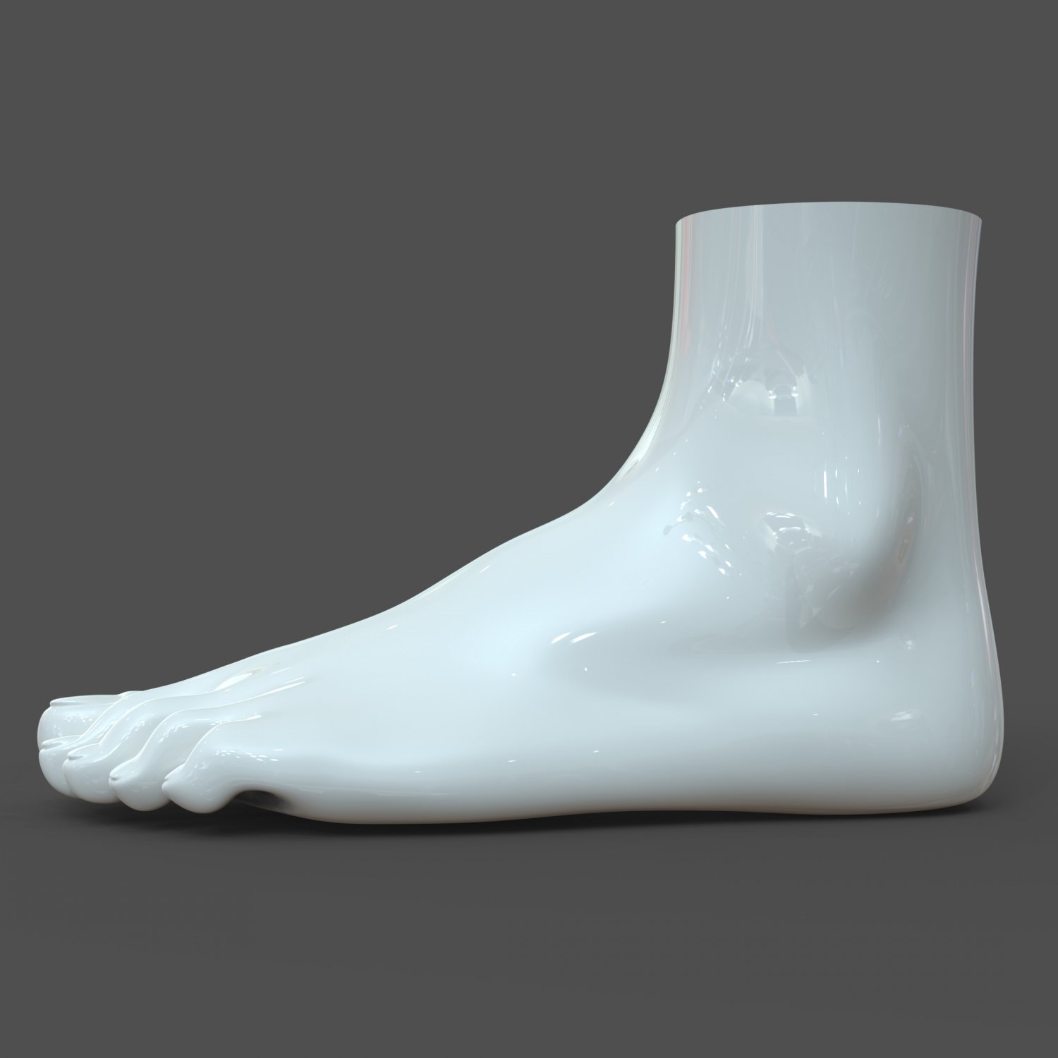 CAD compatible Female Foot Model F1P1D0V1feet 3D Model in Anatomy 3DExport