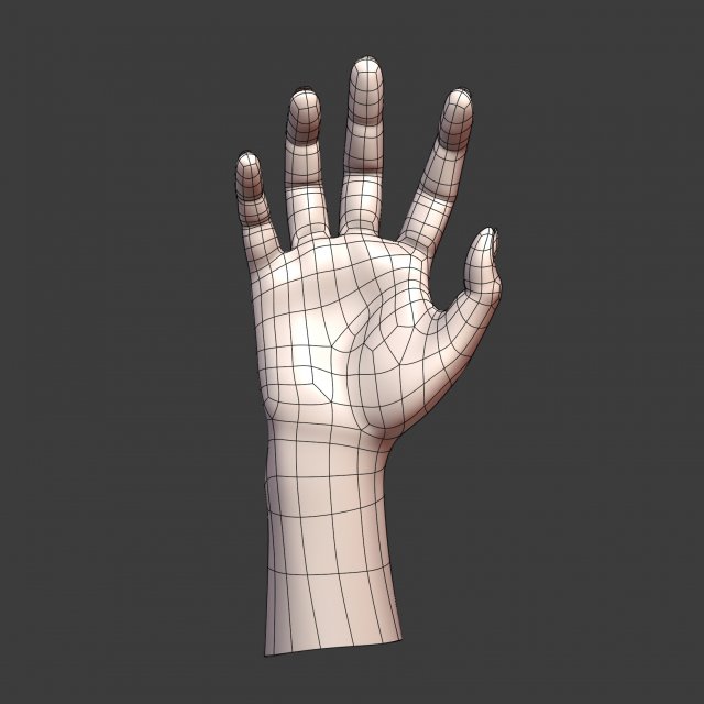 cad-friendly casual woman hand model f1p2d1v1hand 3D Model in Anatomy ...