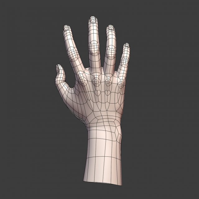 cad-friendly casual woman hand model f1p2d1v1hand 3D Model in Anatomy ...