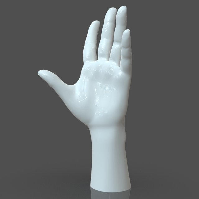 cad compatible casual woman hand model f1p3d1v1hand 3D Model in Anatomy ...