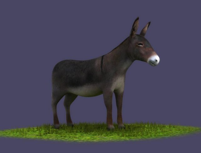 Donkeys ranches livestock breeding mammals 3D Model in Horse 3DExport