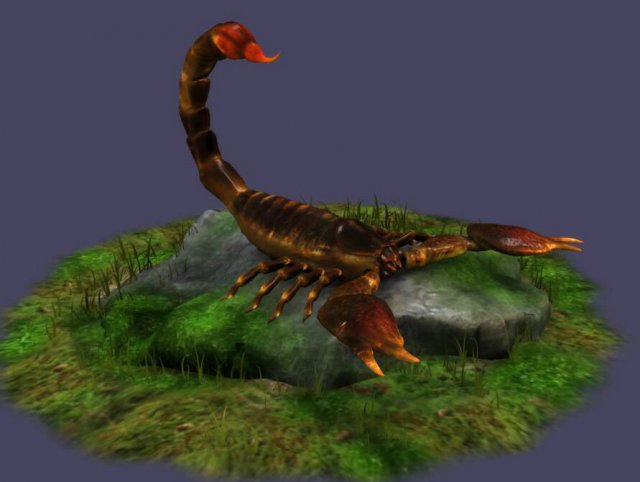 Fire Scorpions Realistic Scorpions cave creatures the desert 3D Model ...
