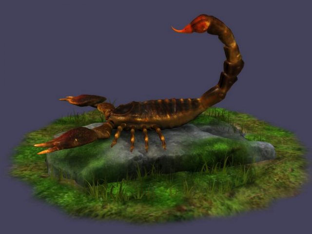 Fire Scorpions Realistic Scorpions cave creatures the desert 3D Model ...