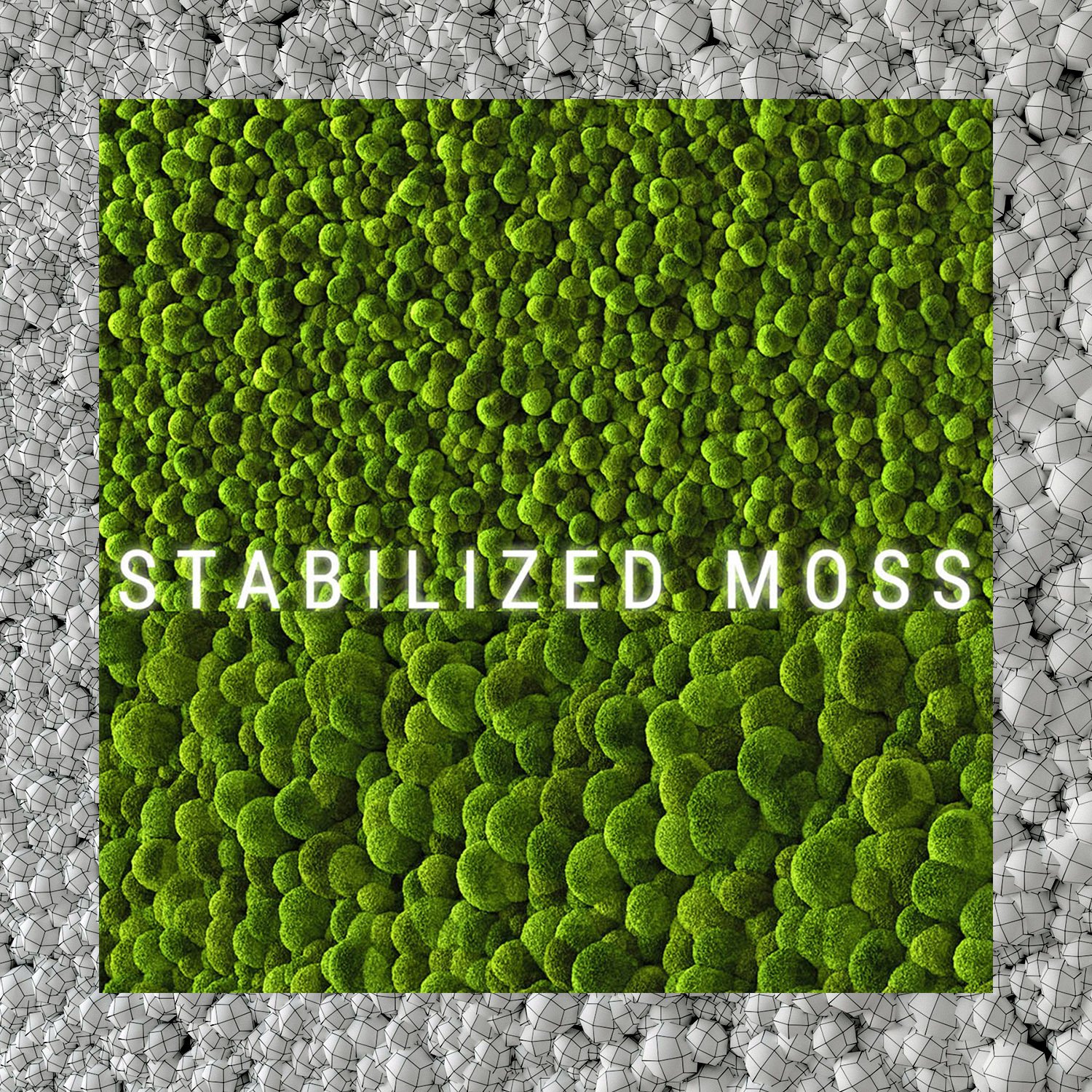 stabilized moss 2 3D Models in Grass and Ground Cover 3DExport