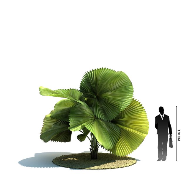 archmodels vol 61 Trees Low-poly and more 3D Model in Bush 3DExport