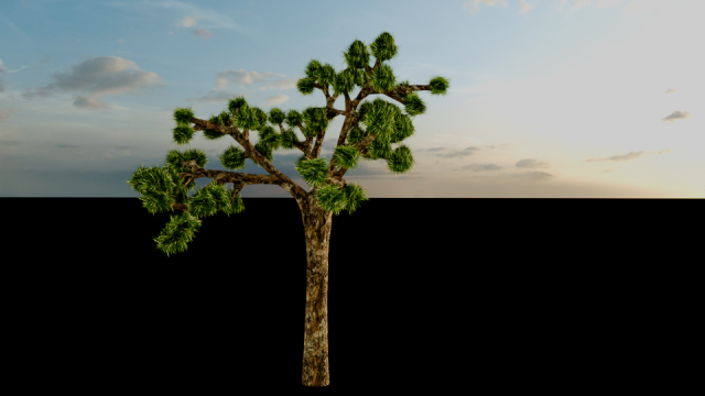 joshua tree 3D Model in Tree 3DExport
