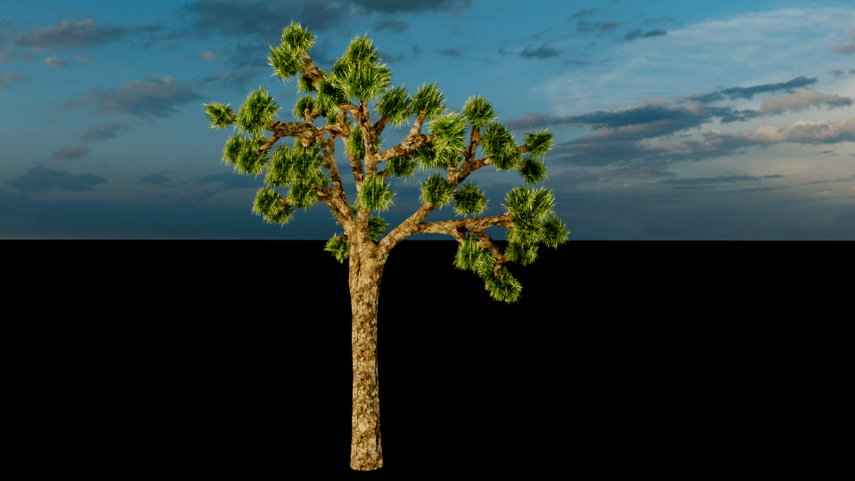 Joshua Tree 3D Model in Tree 3DExport