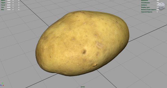 potato 3D Model in Vegetable 3DExport